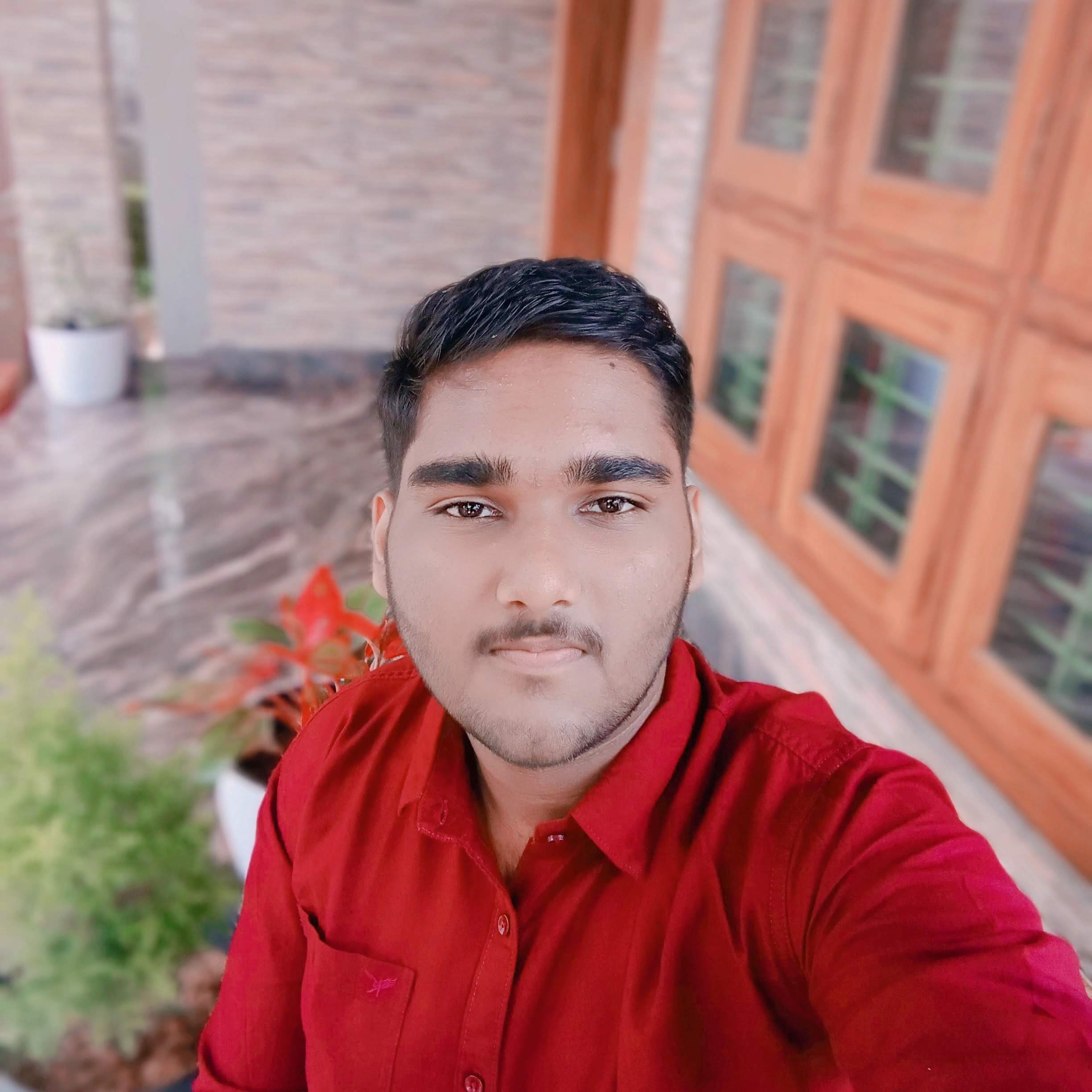 Reswin Geo Thomas - Portfolio